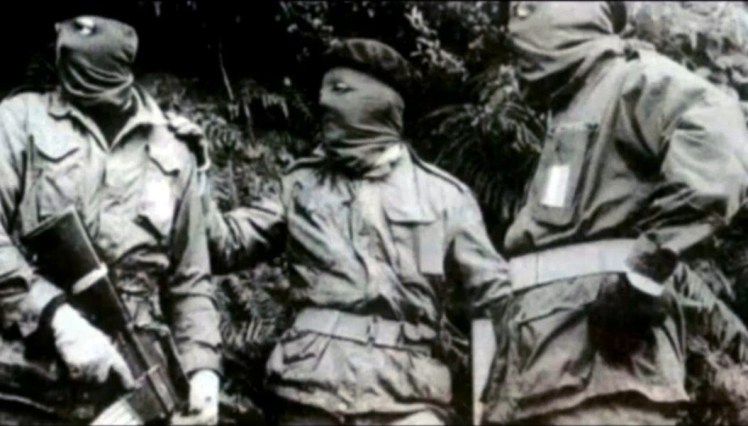 The Reorganisation Of The IRA In The Early 1970s – AN SIONNACH FIONN